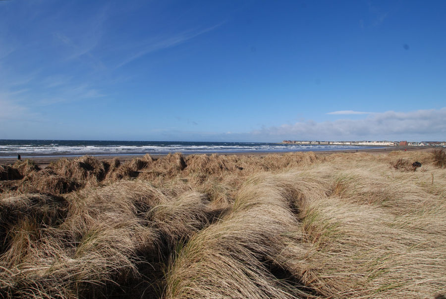 Troon, “Cladach”, South Beach, KA10 6EG : Black Hay